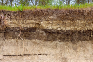 Pedology: The Dirt on Soil - Long Acres Ranch