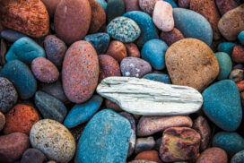 Petrology: Science Rocks! - Long Acres Ranch