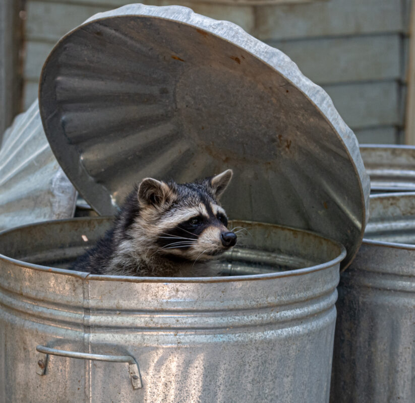 Bioecology: The Science of Connection - Long Acres Ranch